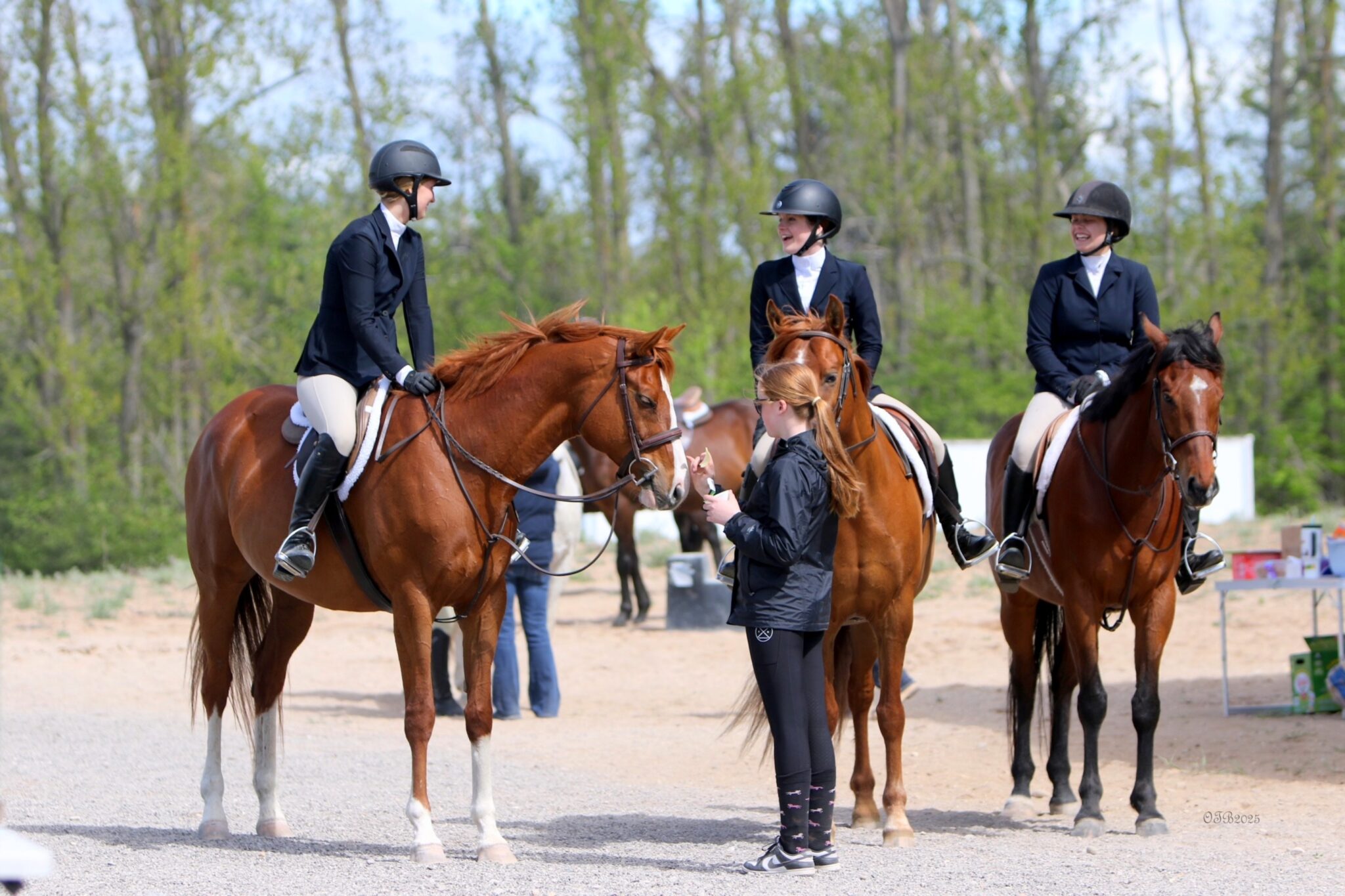 HORSE SHOWING – K. Colfer Sporthorses LLC